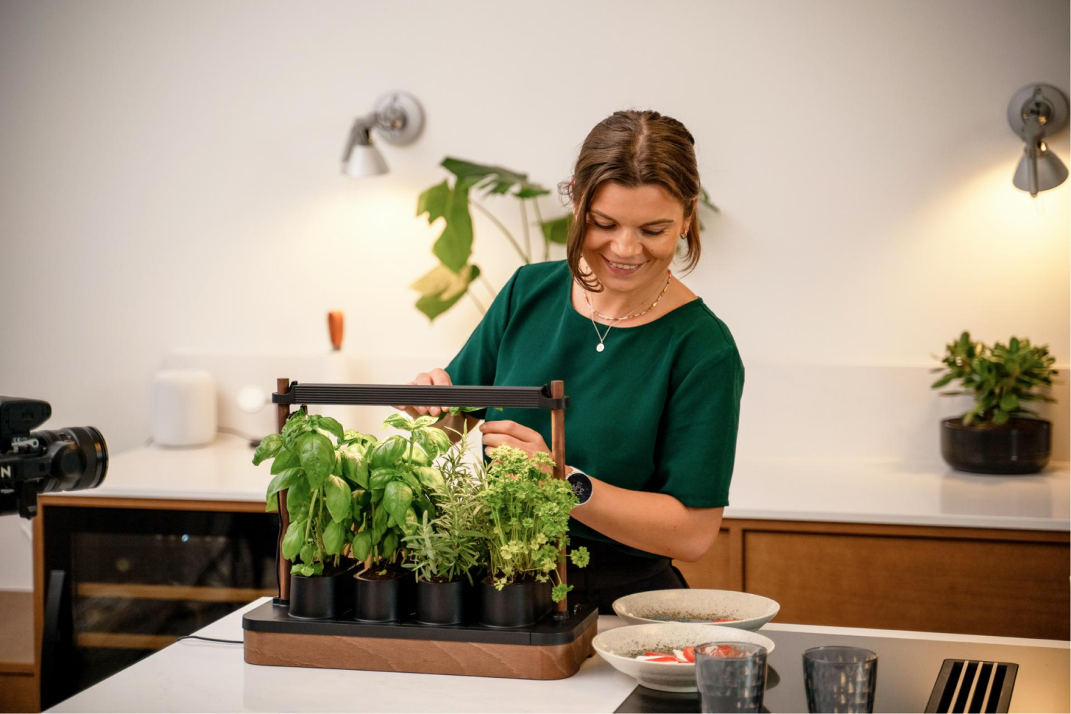 Auk Mini Review: The Smartest Way to Grow Green – Tech Spy Magazine