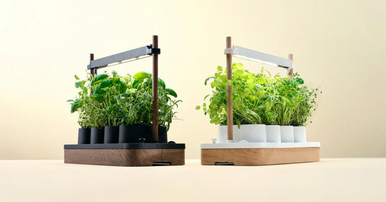 Auk Mini Review: The Smartest Way to Grow Green – Tech Spy Magazine