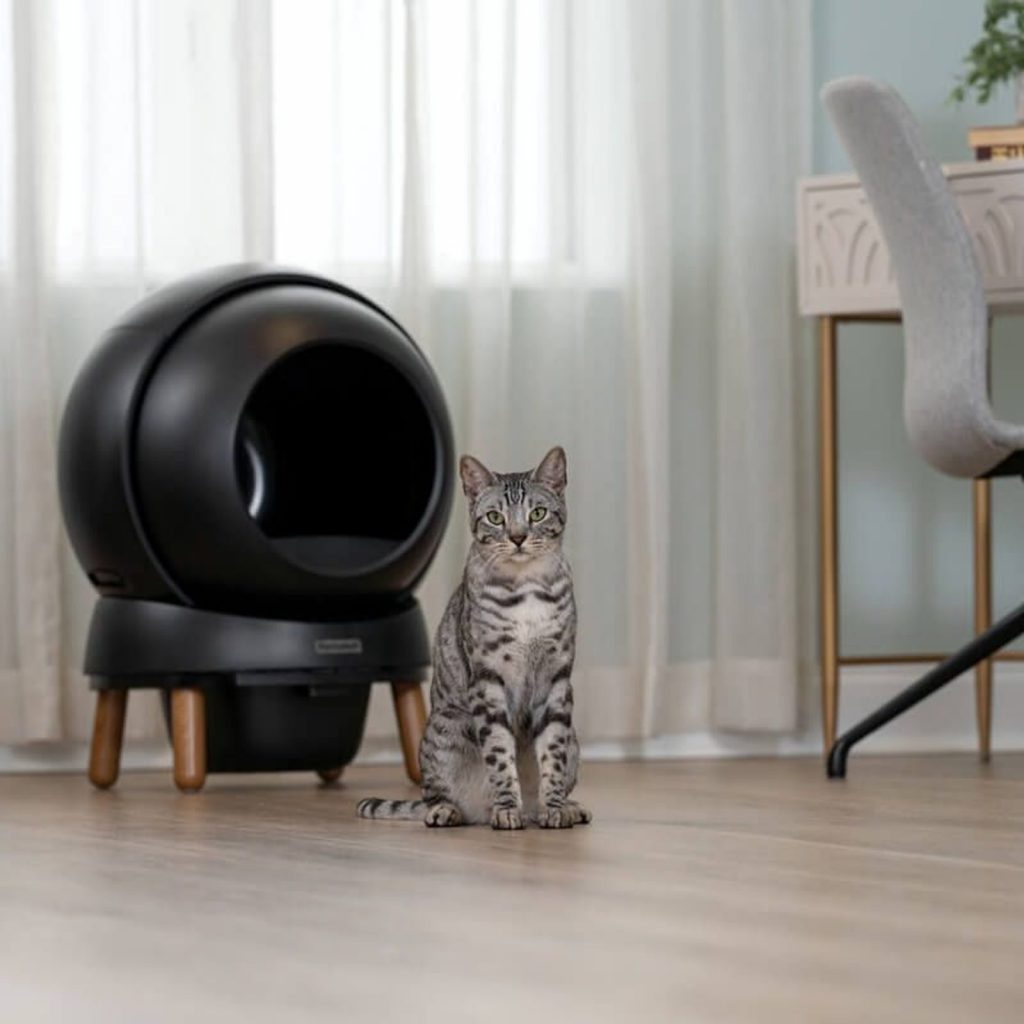 PetSafe ScoopFree SmartSpin review: The self-cleaning connected litter ...